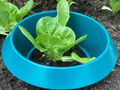 Agralan Slug and Snail Collars - Pack of 4