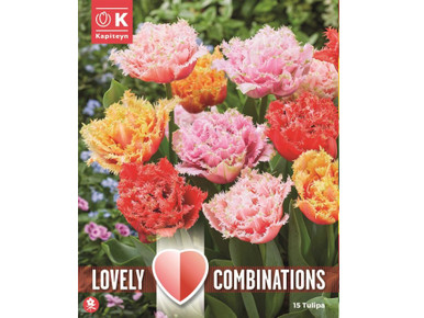 Combi Tulip Double Crispa Mix - Spring Flowering