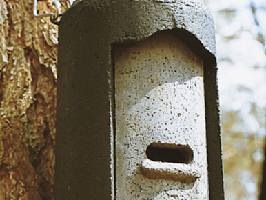 Woodcrete Bat Box 2f