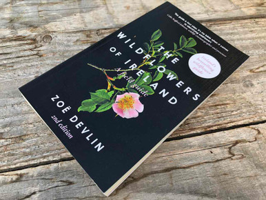 Wildflowers of Ireland - Zoe Devlin