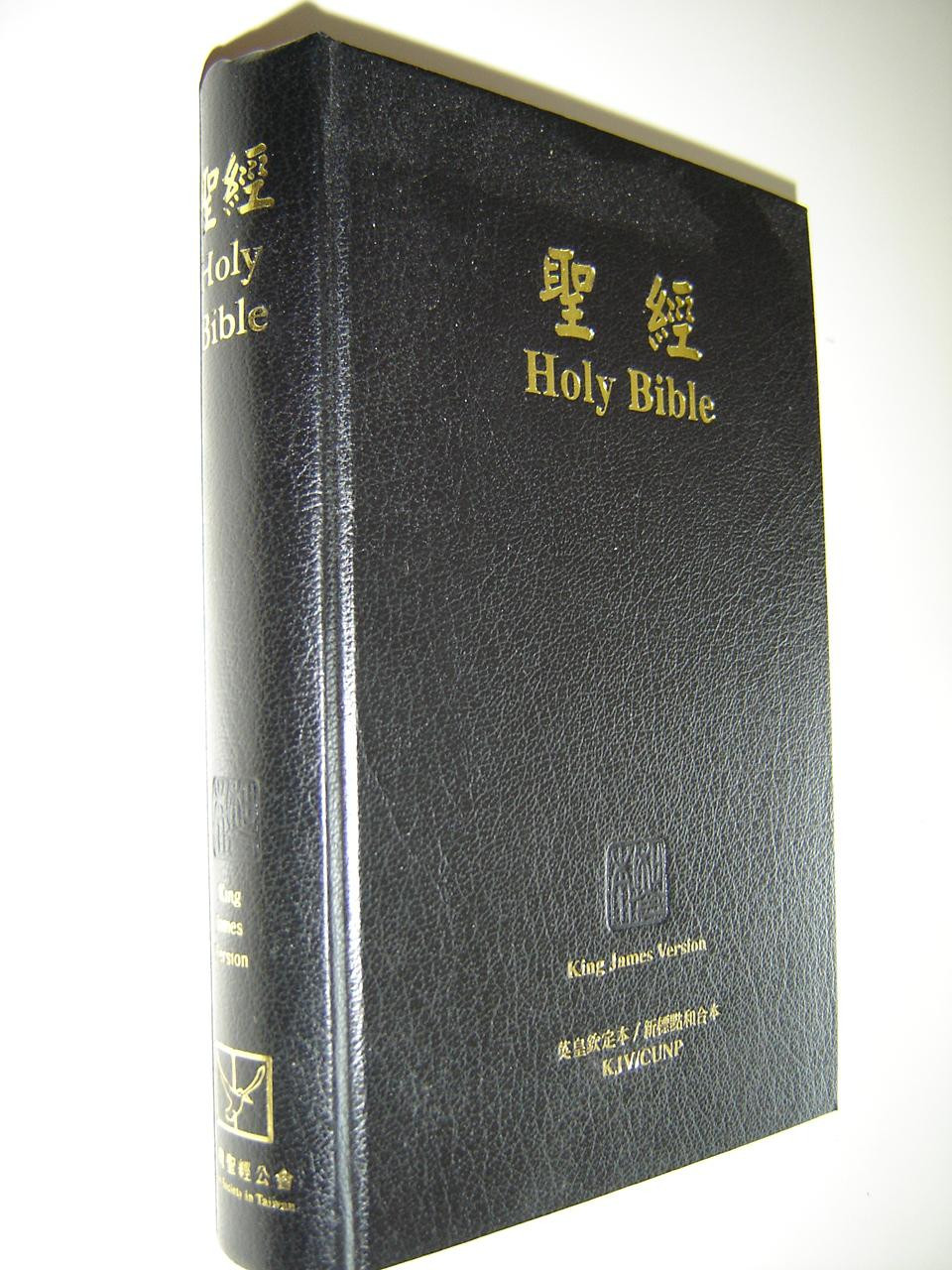 Treasured Bible Verses of the CNV Bible / 寶貝金句版聖經