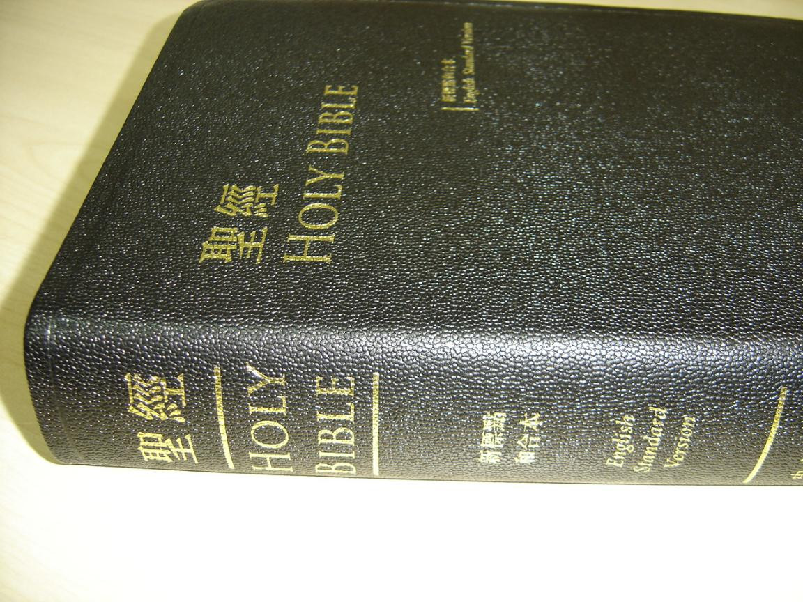 Chinese Union Version Holy Bible - Midsize Black PVC Edition