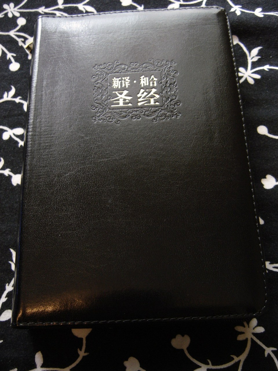 CNV Chinese New Version Holy Bible