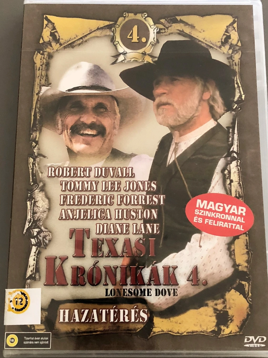 Diane Lane Lonesome Dove Lorena Wood Parker PaintHeal
