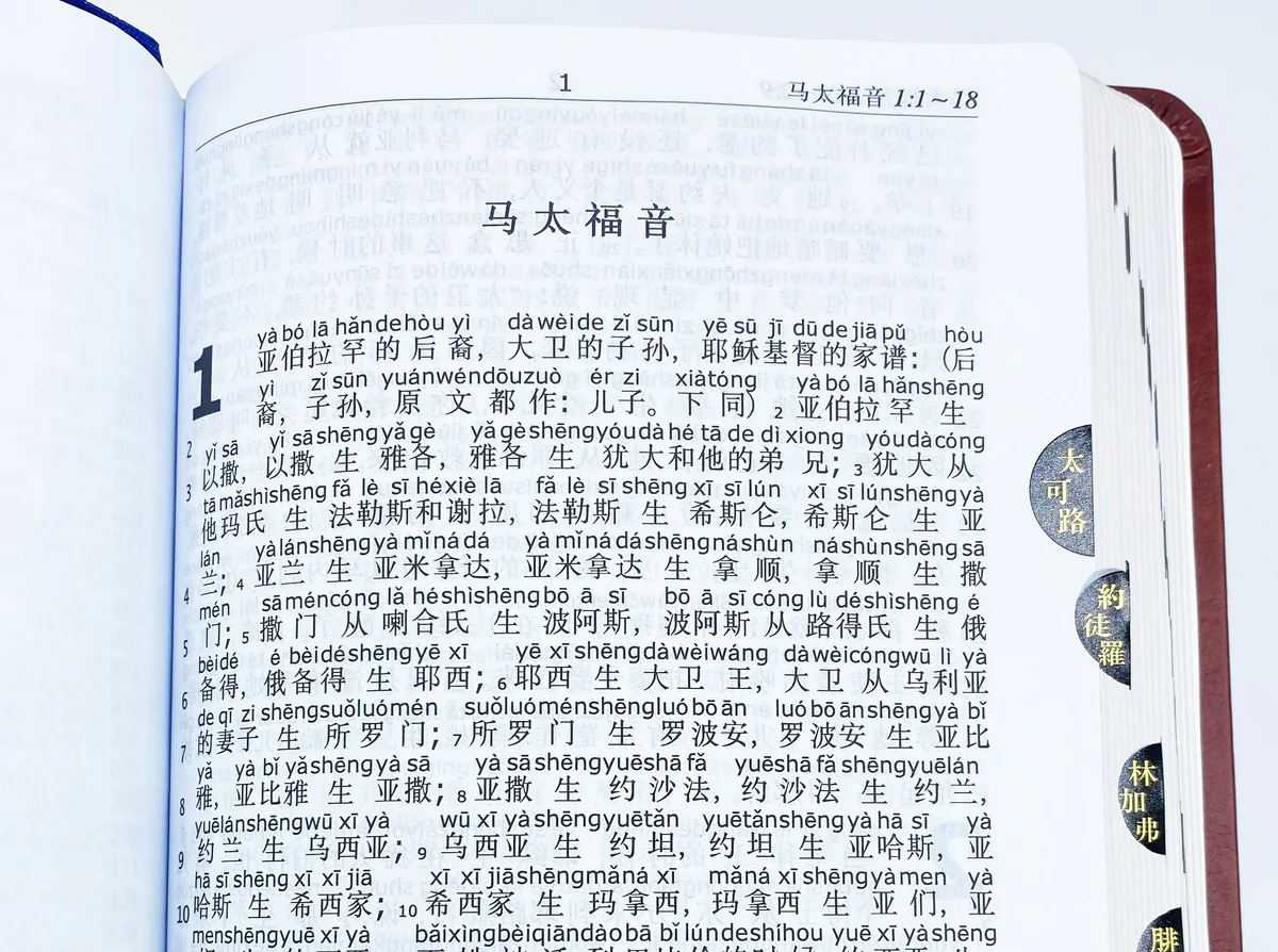 Chinese Pinyin Bible | Old & New Testament