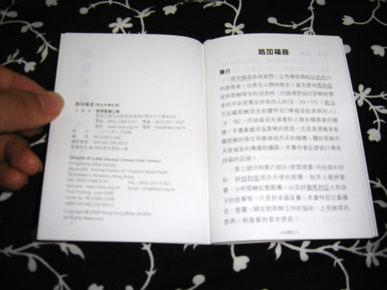Gospel of Luke - Revised Chinese Union Version