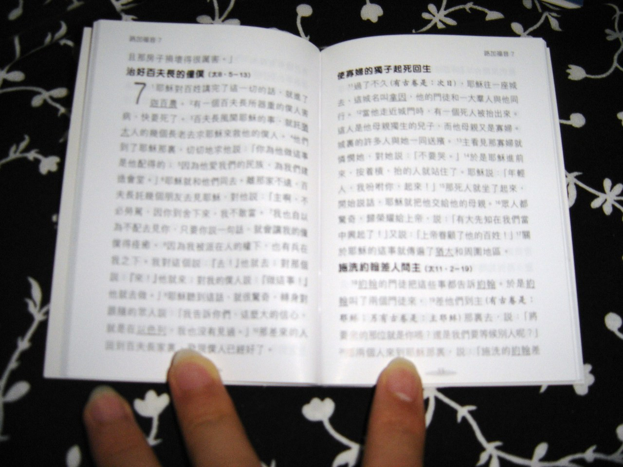 Gospel of Luke - Revised Chinese Union Version
