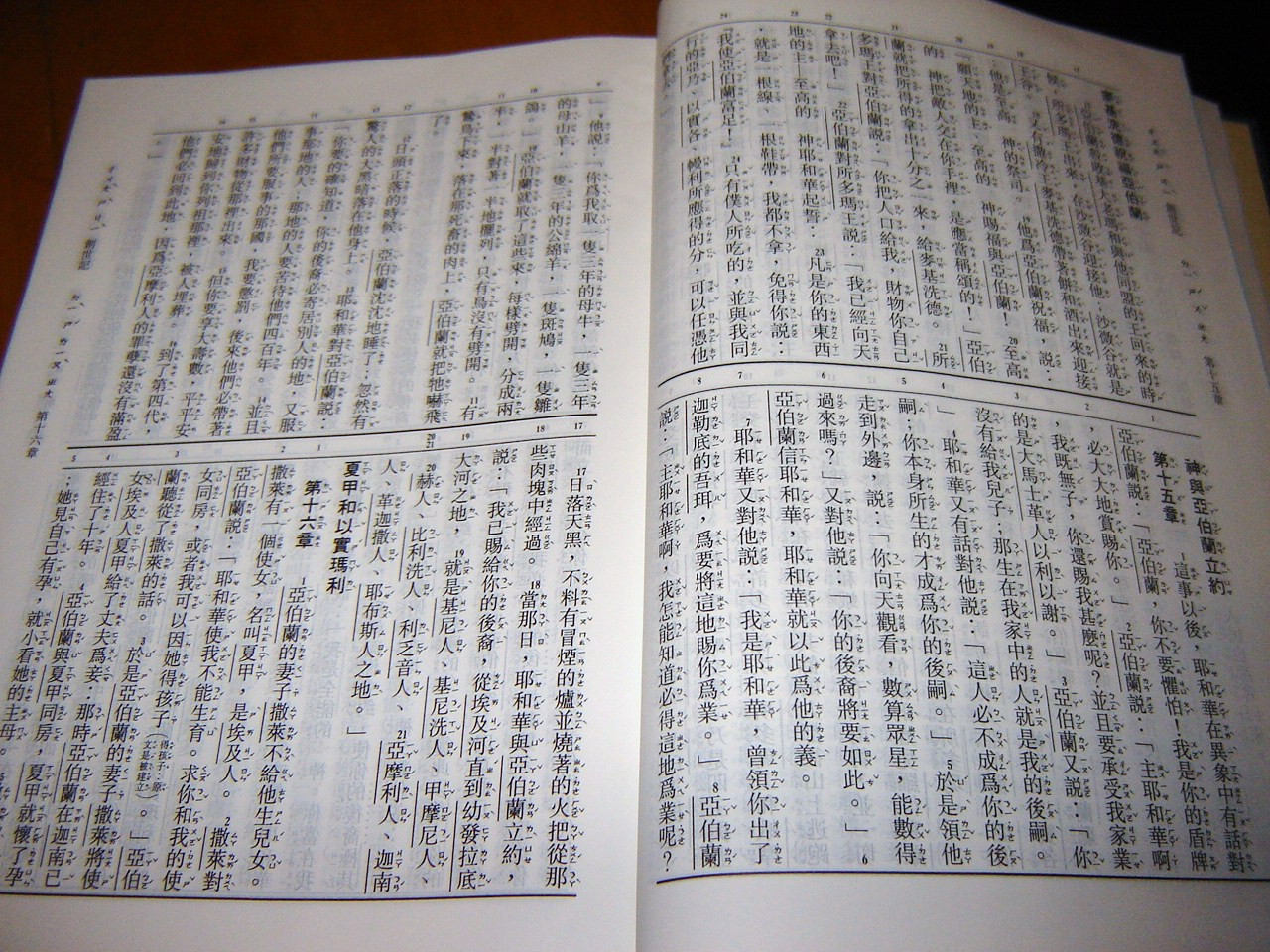 Taiwanese Bible with Pinyin - New Revised Standard