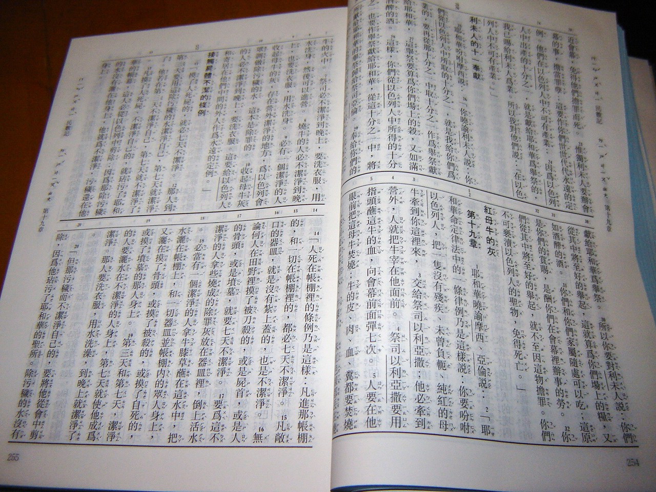 Taiwanese Bible with Pinyin - New Revised Standard