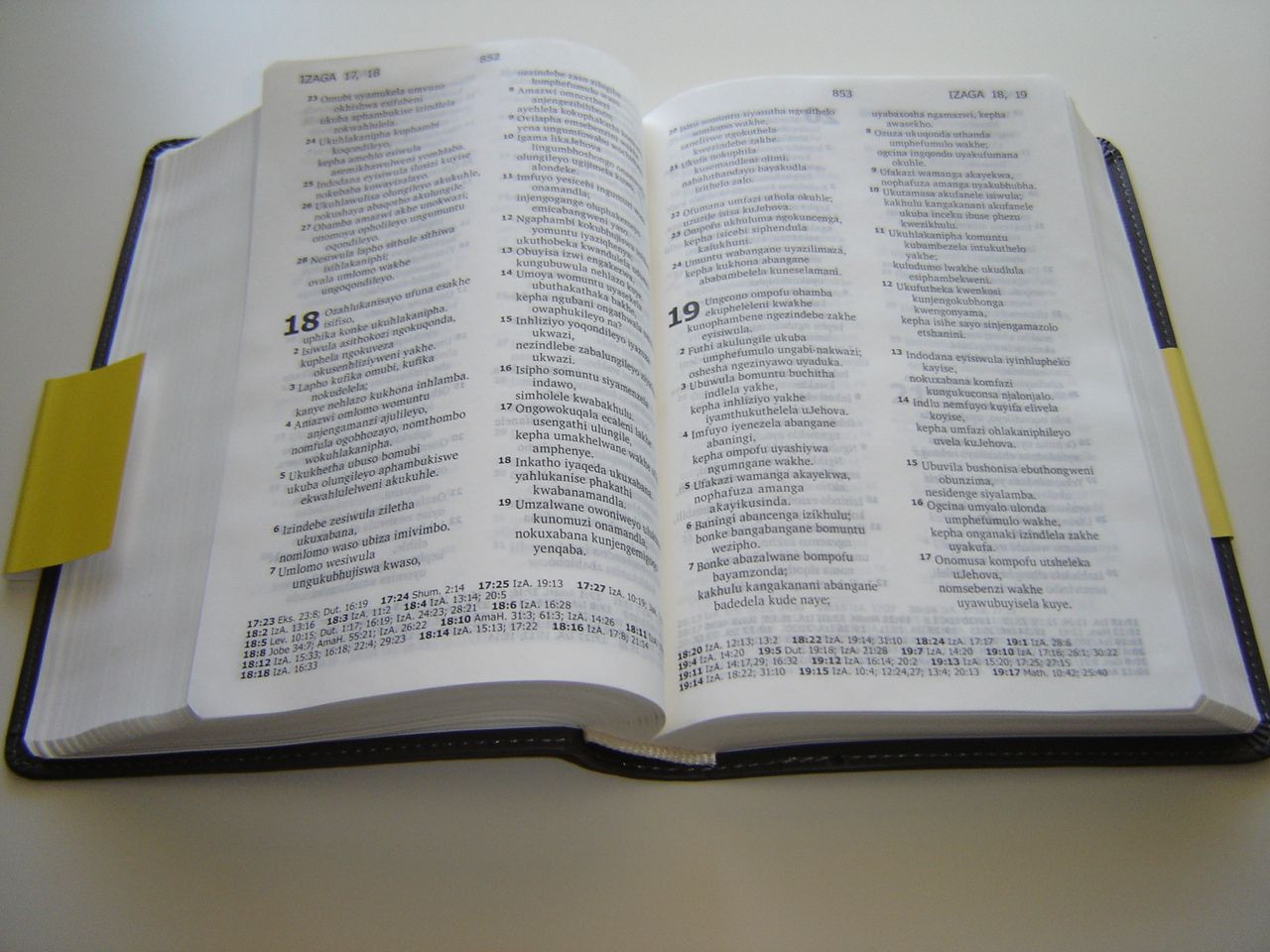 Zulu Bible - IBHAYIBHELI ELINGCWELE