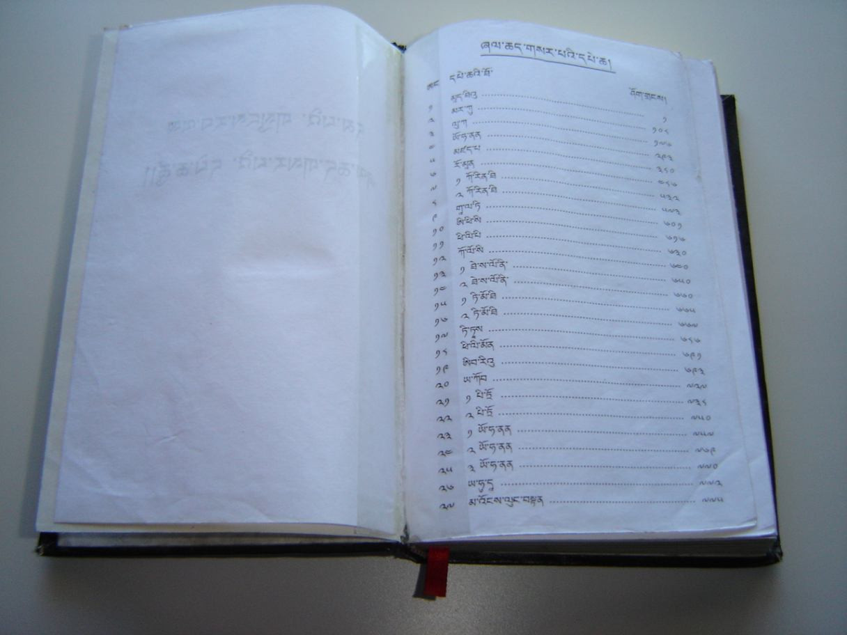 Dzongkha language New Testament in the national language of Bhutan ...