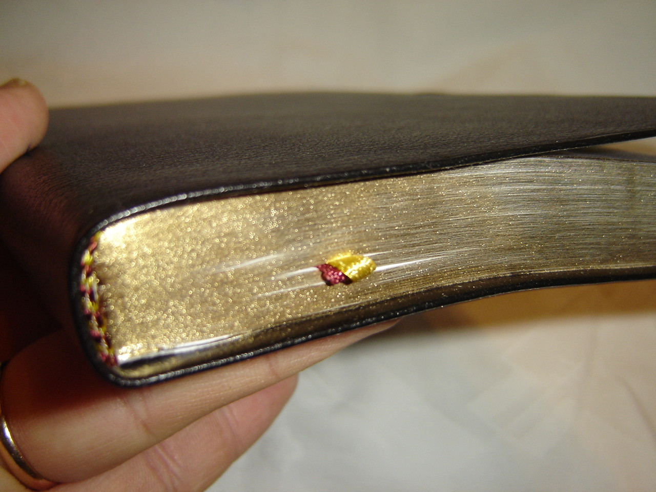Slim Line Swedish Bible - Black Leather Bound