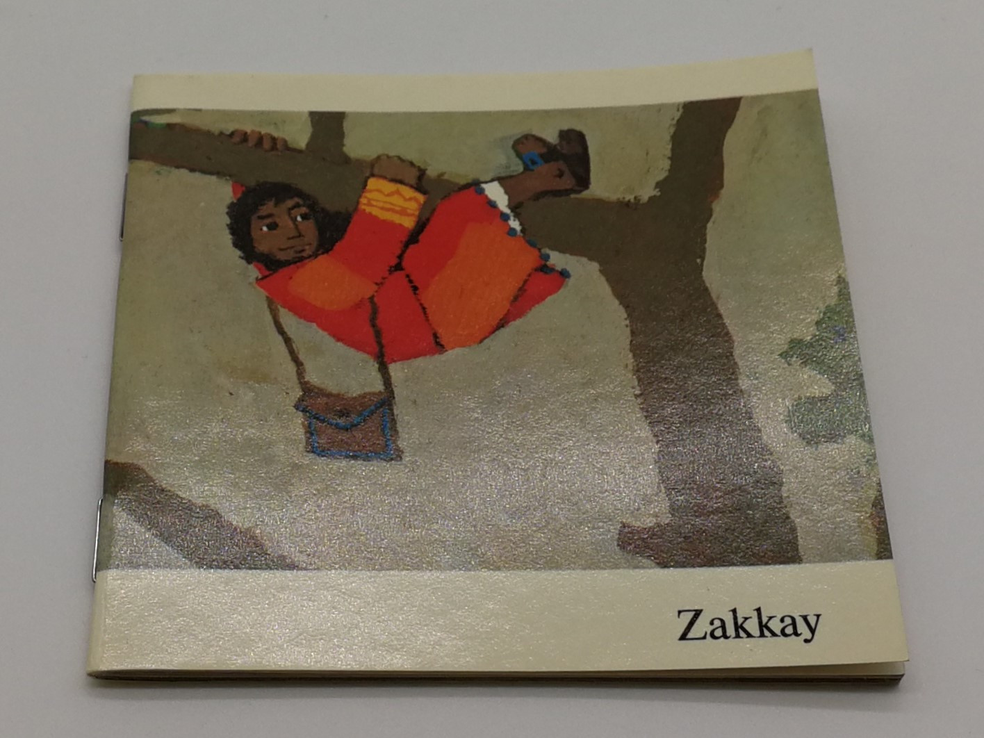 Zakkay – The Illustrated Story of Zacchaeus for Kids in Turkish