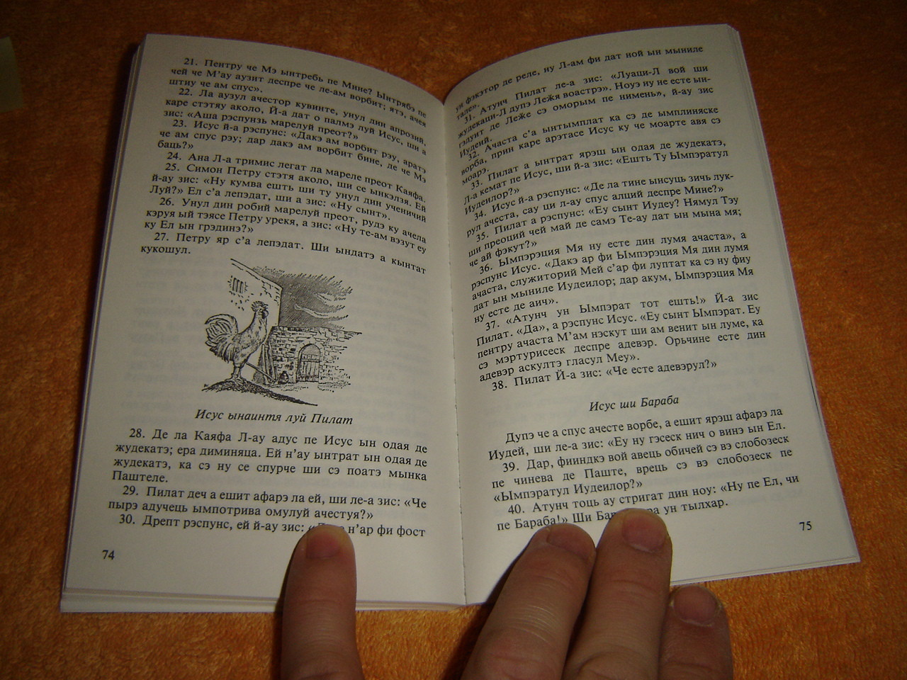 Gospel of John in Moldavian Cyrillic - Illustrated Edition