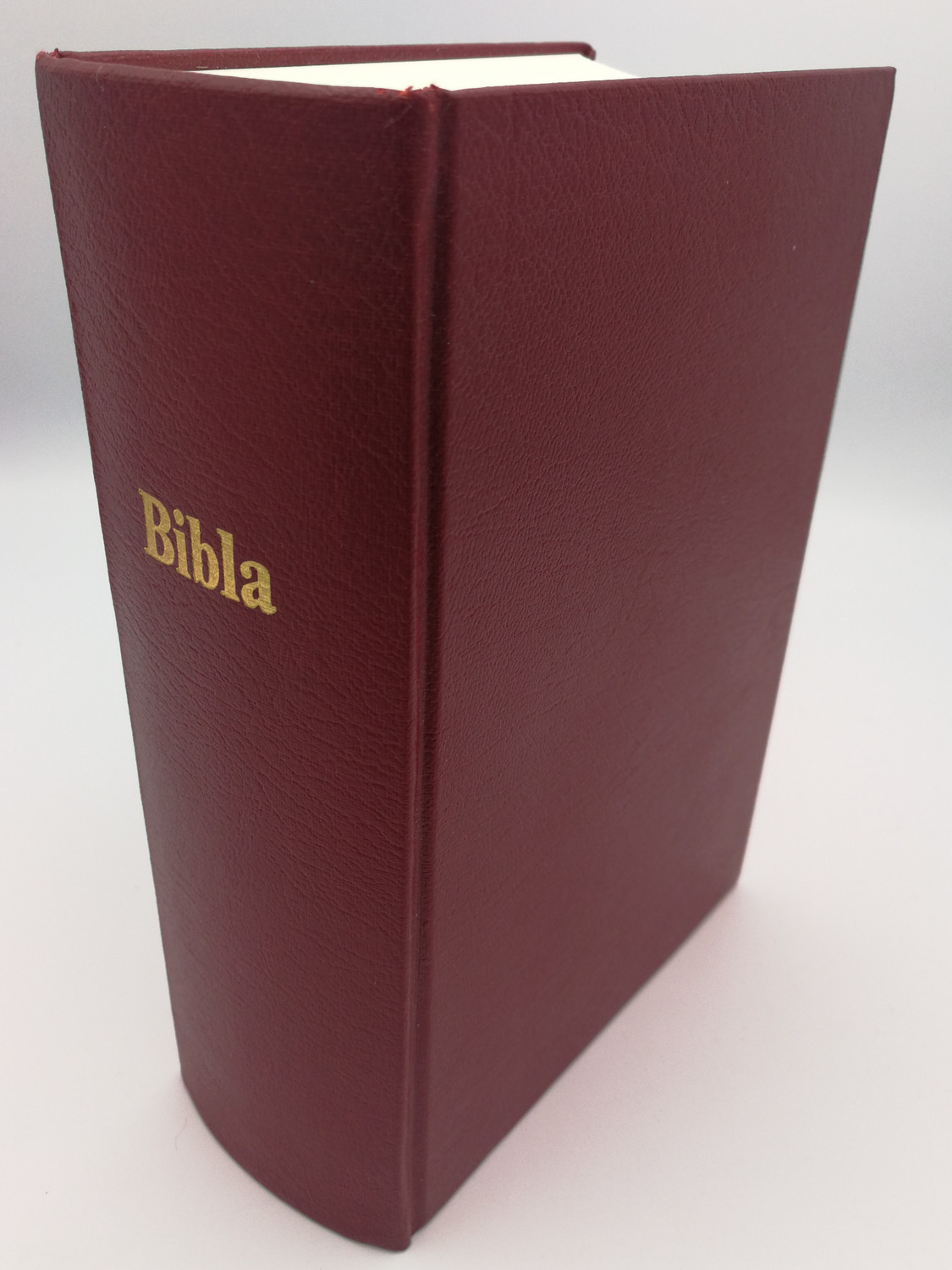Vallader Romansch Language Bible