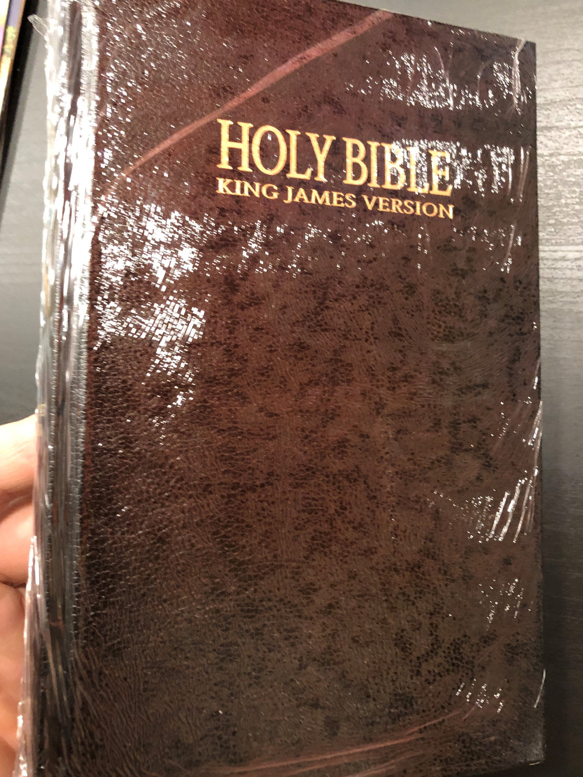 1611 Edition King James Version Holy Bible