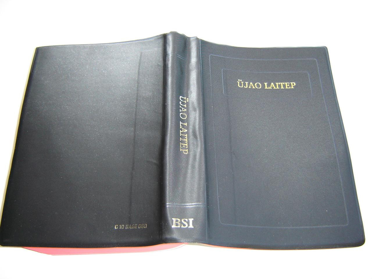 Kyong Naga (Lotha) Language Bible / NTHO BIBLE Ntsata Ehen tona Ethan ...