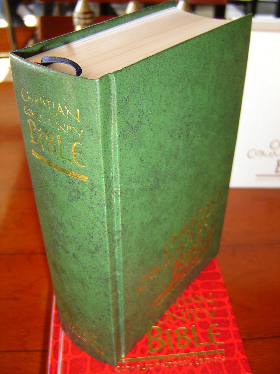Christian Community Bible: Catholic Pastoral Edition