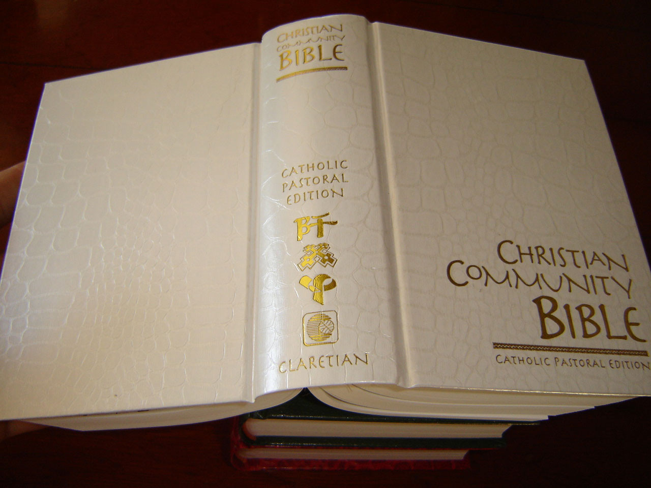 Christian Community Bible: Catholic Pastoral Edition