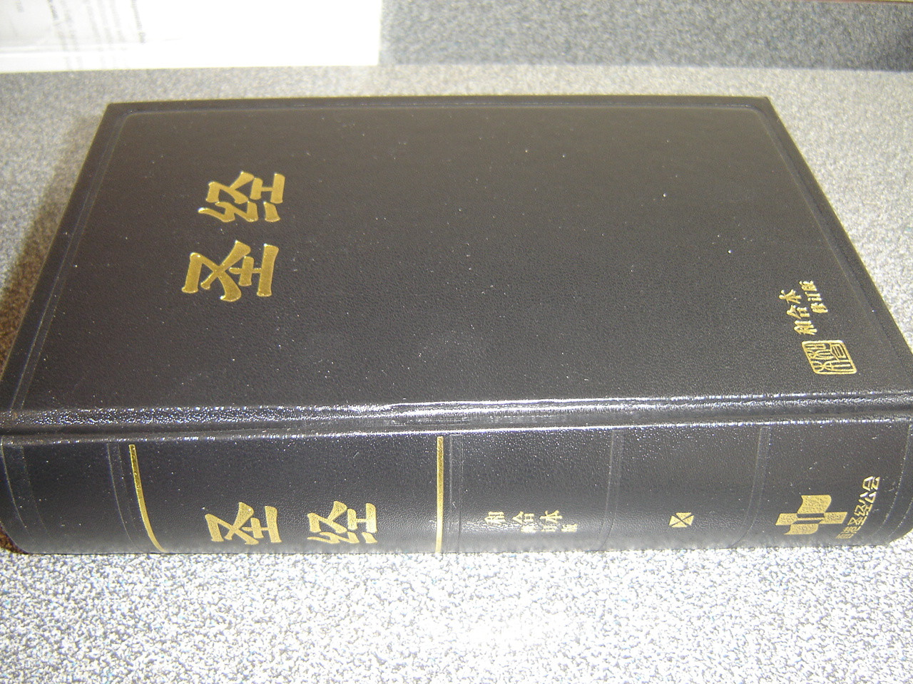 The Holy Bible (Shen Edition) in Chinese - Black-Red Hardcover