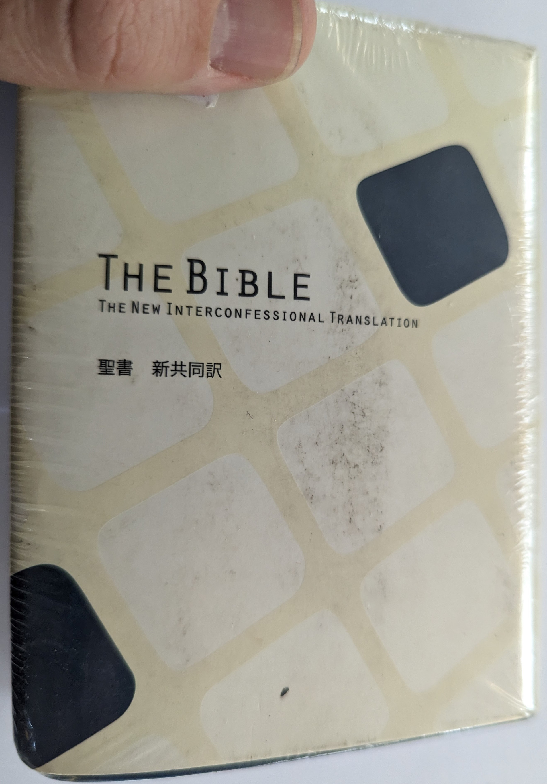 Japanese New Testament Study Bible