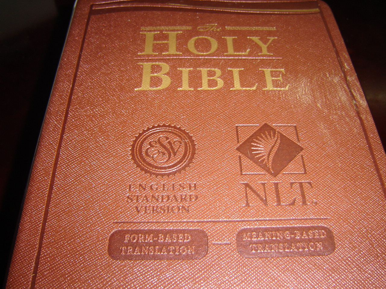 ESV - NLT Holy Bible Parallel Edition - Study Two English Translations
