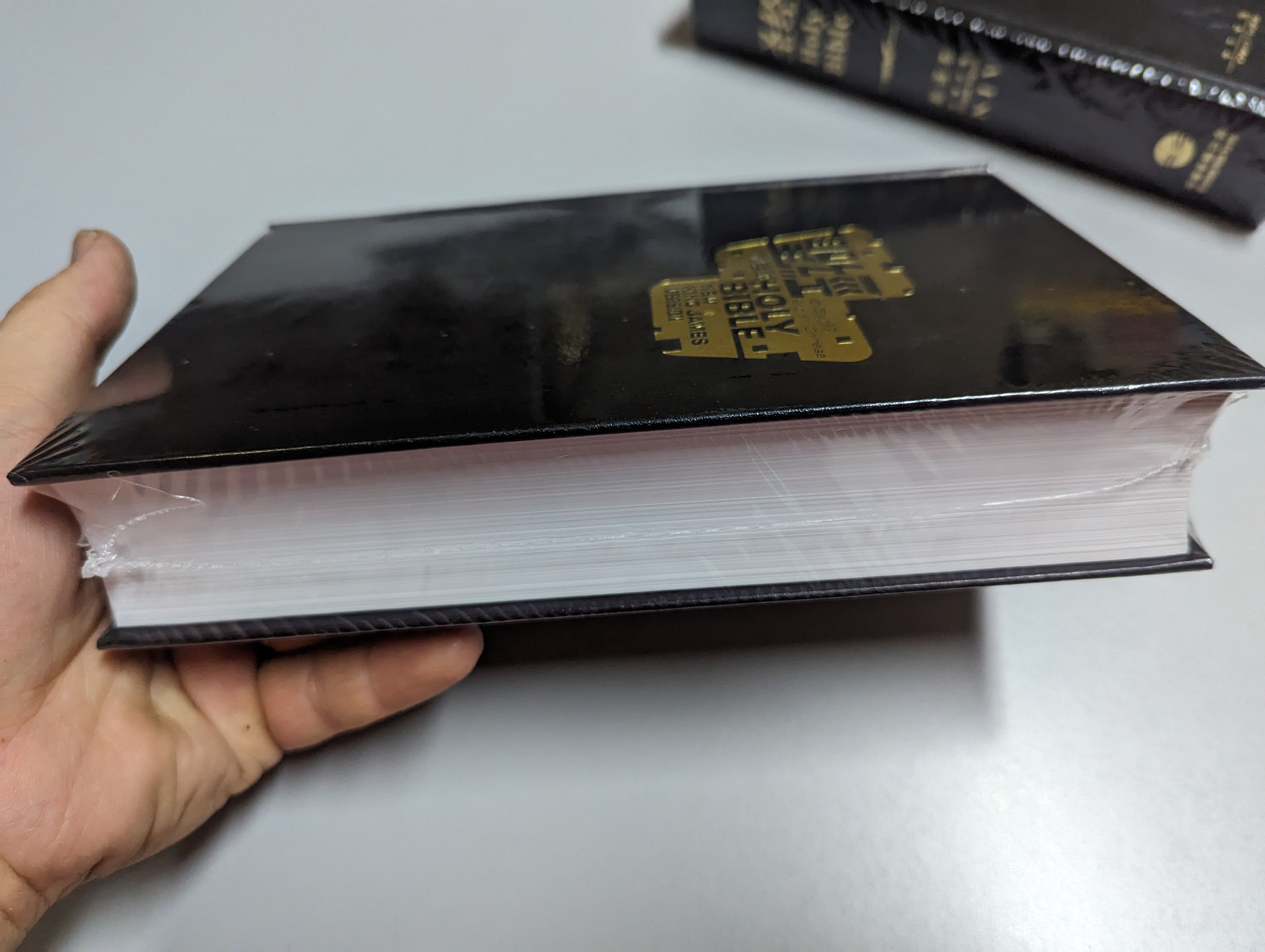 Chinese English Bible (Chinese Union Version - NKJV)