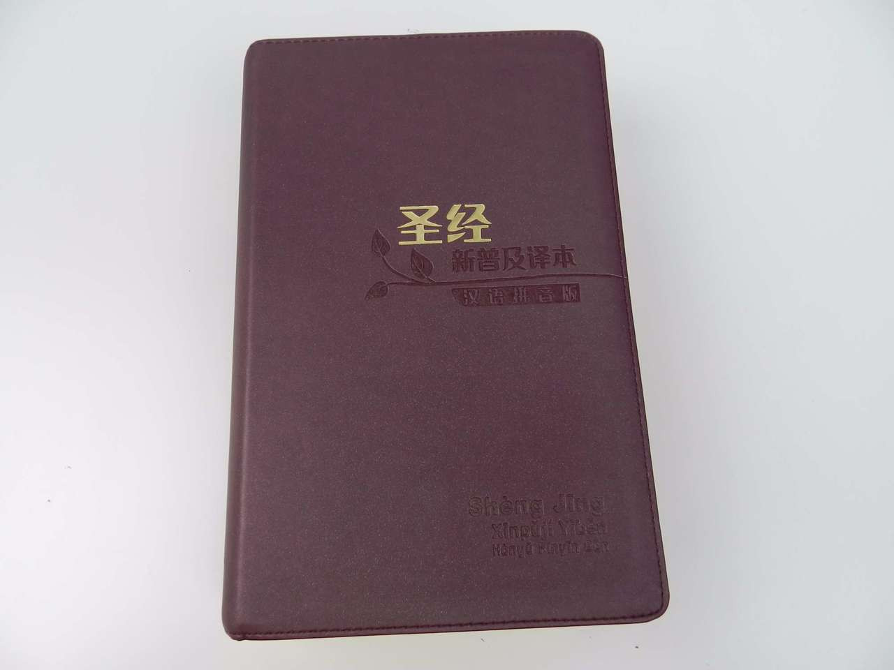 Chinese Pinyin Bible | Hán Yǔ Pīn Yīn Shèng Jīng
