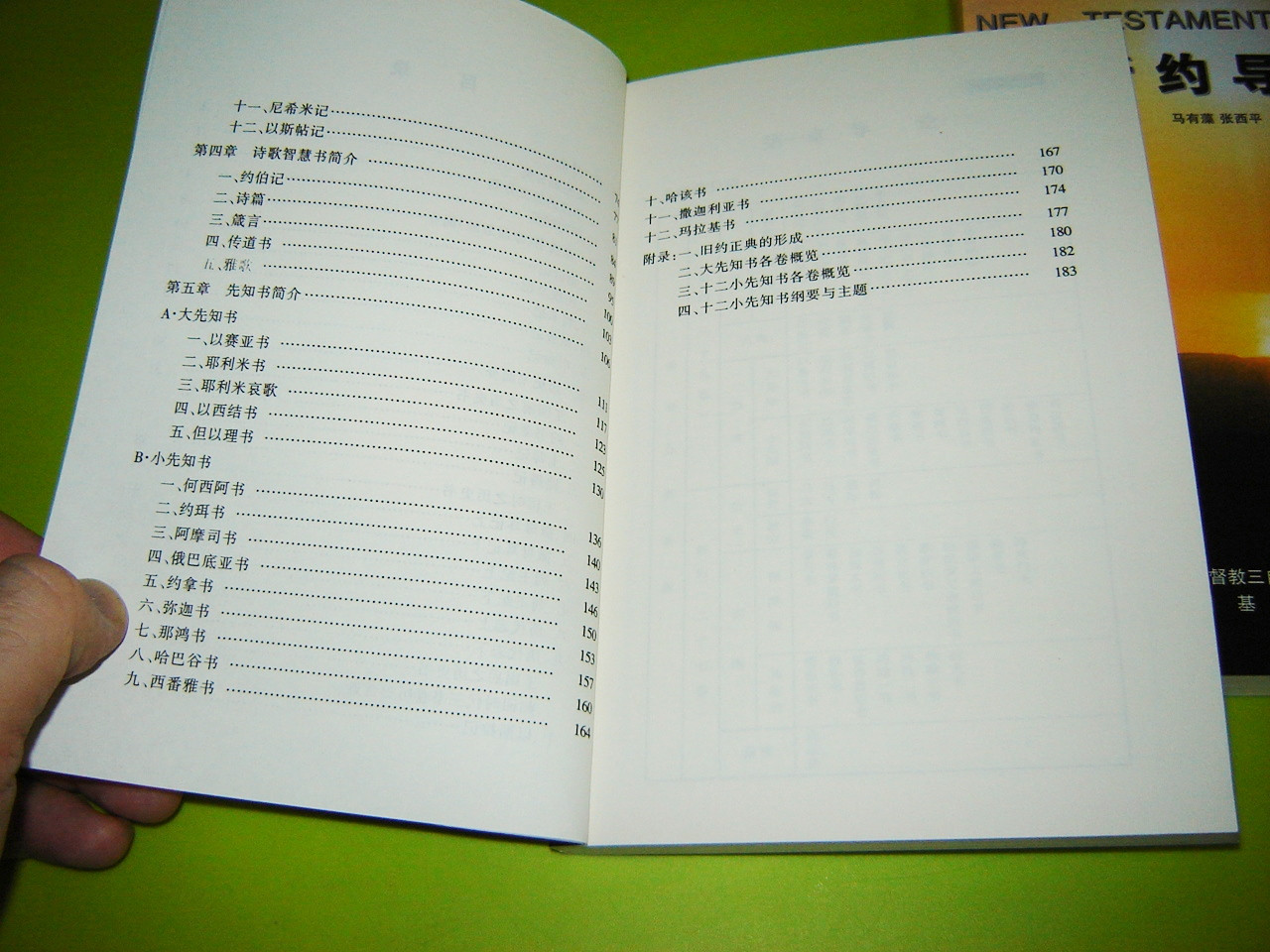 Tedim Chin New Testament Study Bible