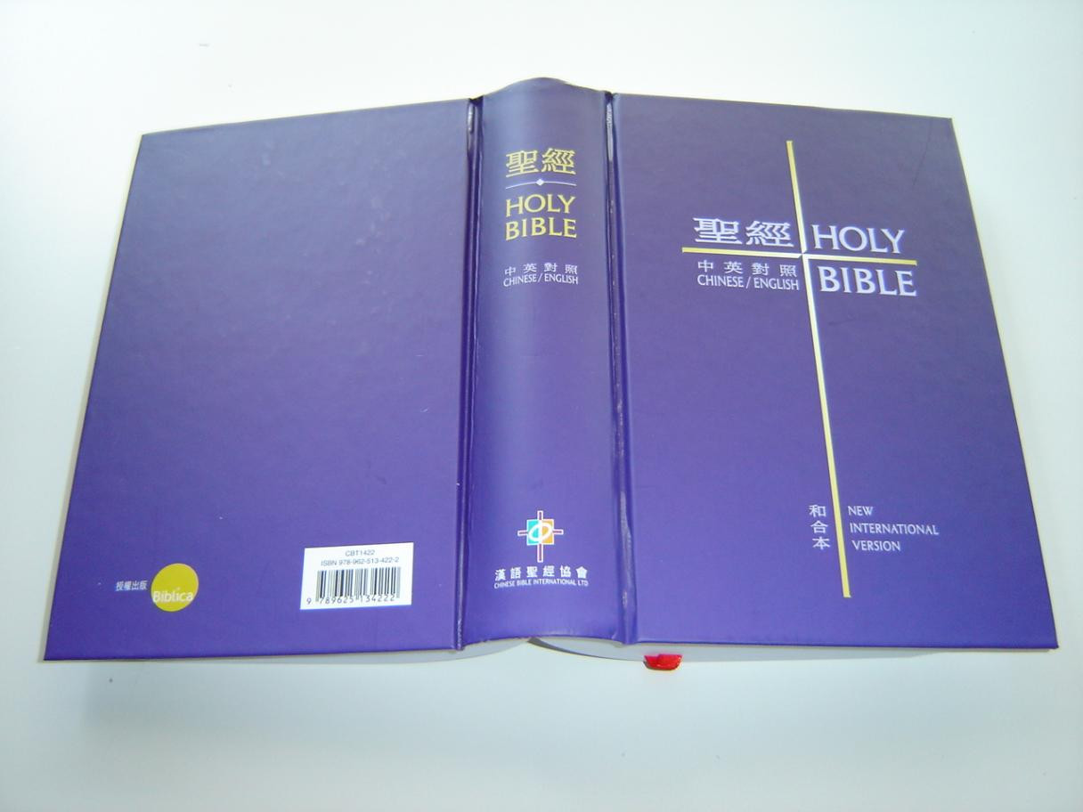 English Chinese Bible (Traditional) Union - NIV Leather