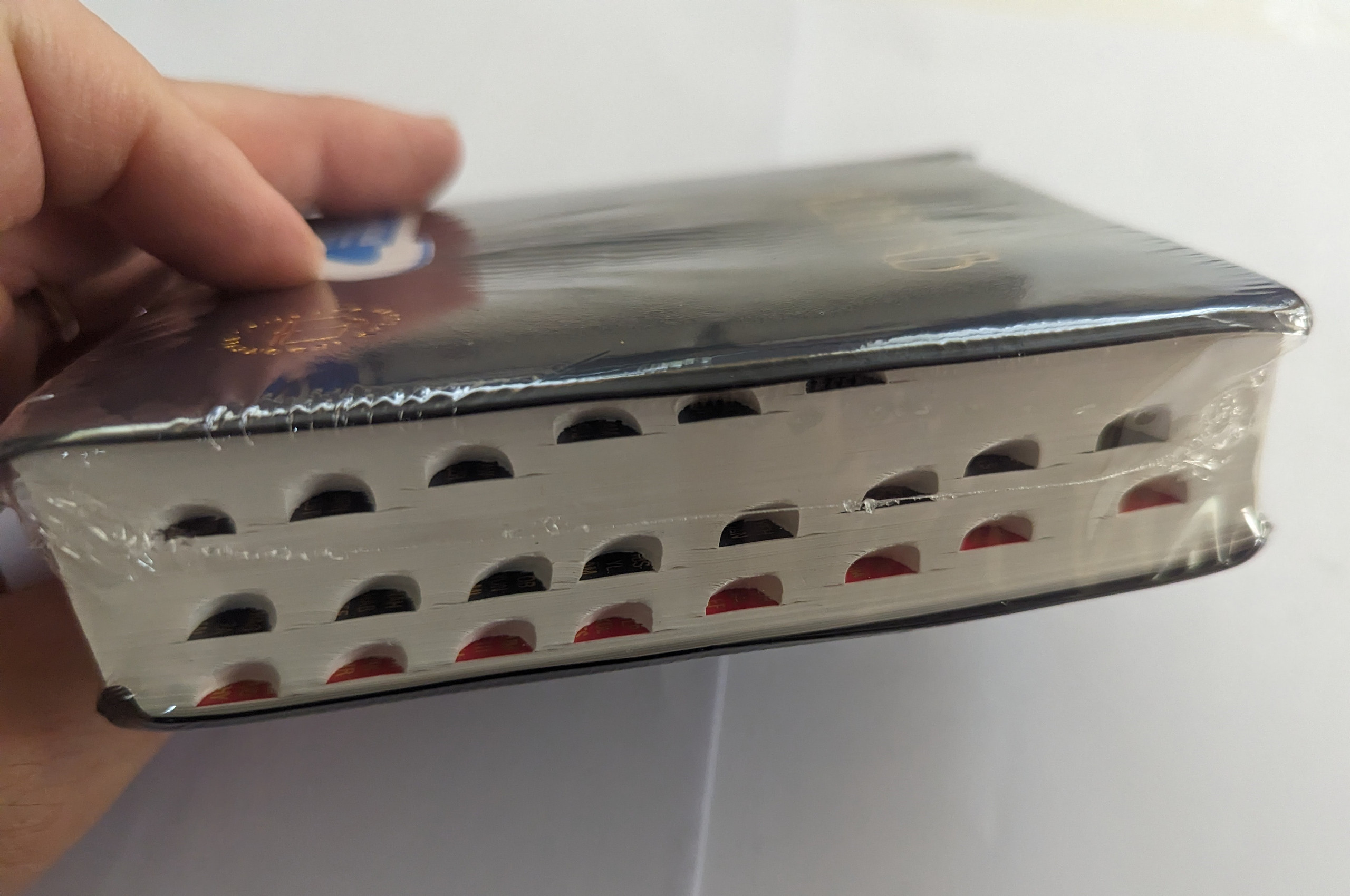 Alkitab: Indonesian Bible (Plastic Flex PVC Cover)