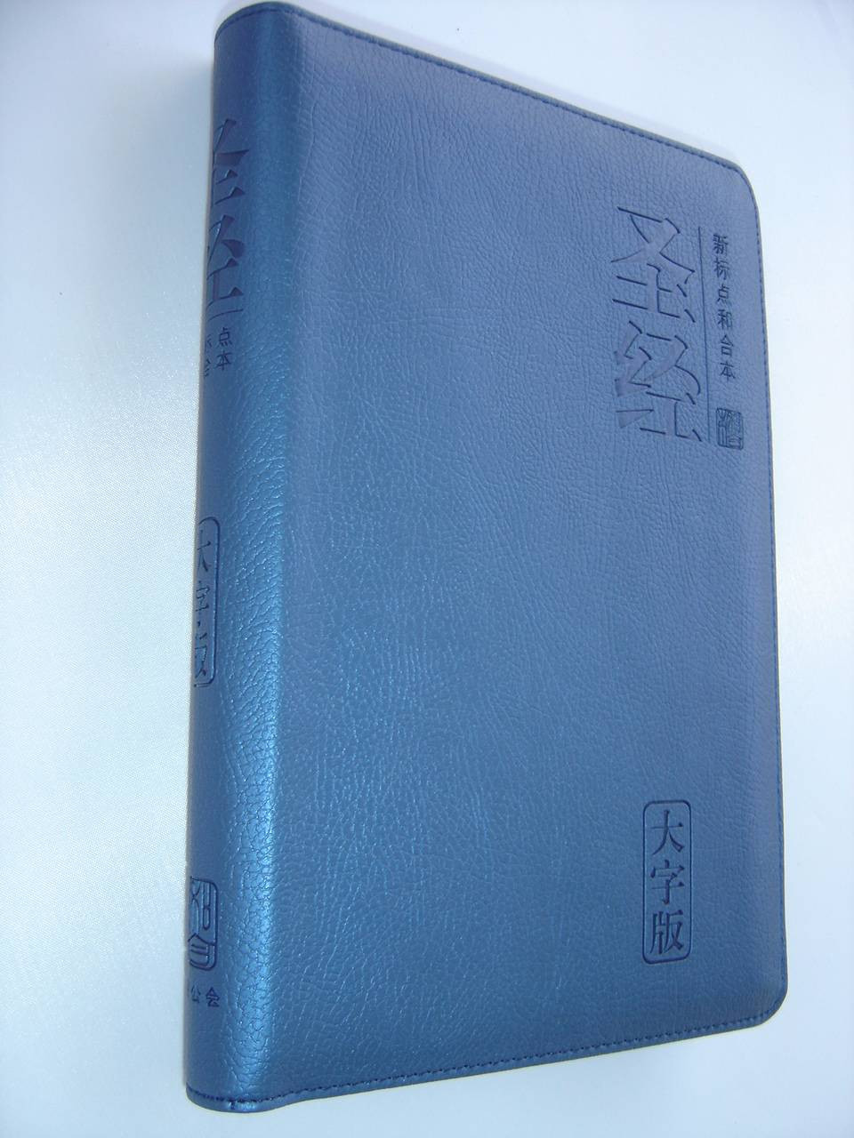 CNV Chinese New Version Holy Bible