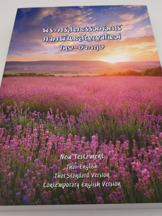 Highlighted Freedom Bible - CEV Edition