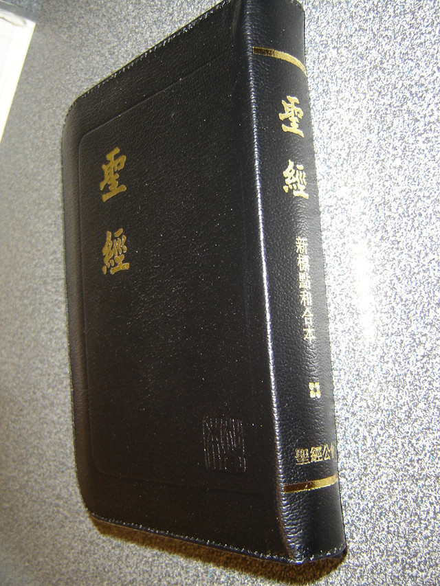 CNV Chinese New Version Holy Bible