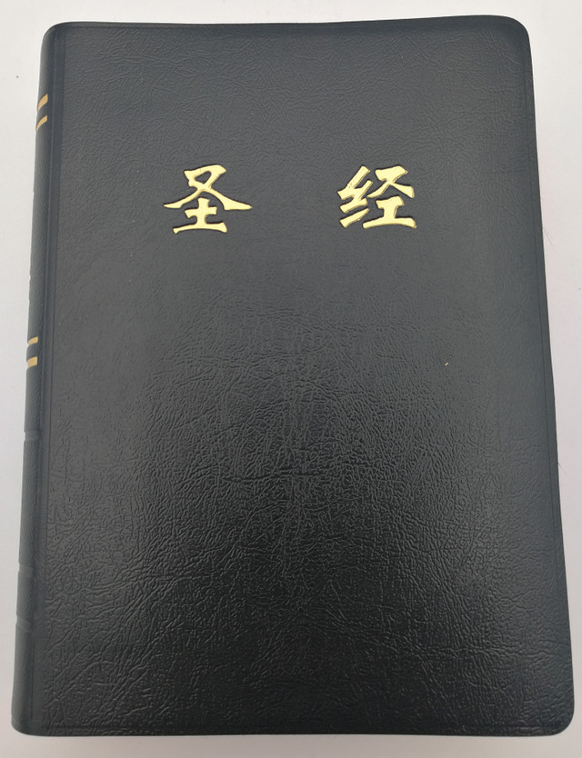 Kyong Naga (Lotha) Language Bible / NTHO BIBLE Ntsata Ehen tona Ethan ...