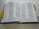Zulu Bible - IBHAYIBHELI ELINGCWELE