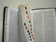 Fante Bible - Leather Bound with Golden Edges