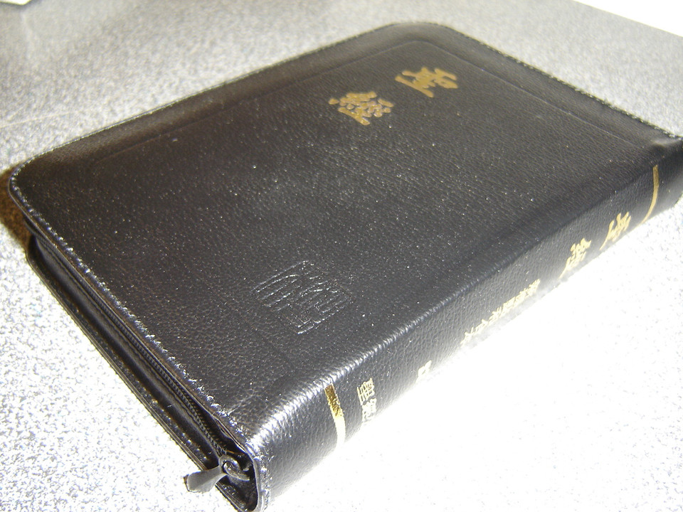 CNV Chinese New Version Holy Bible