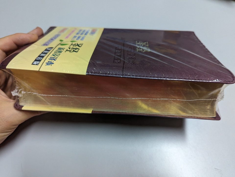Chinese Bible Concordance with Pinyin - Simplified Chinese