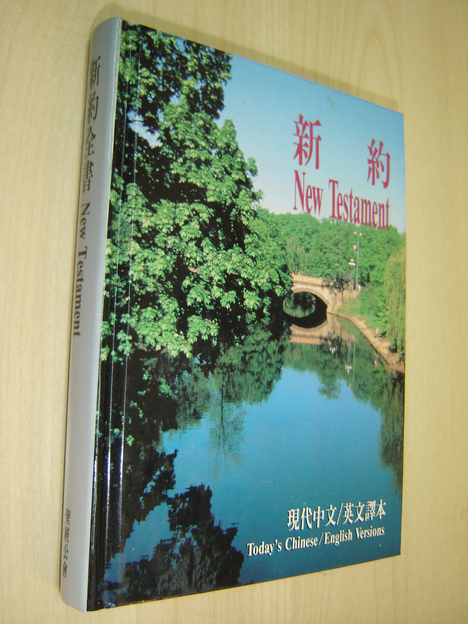 Chinese New Testament Bible Study Tool-Book