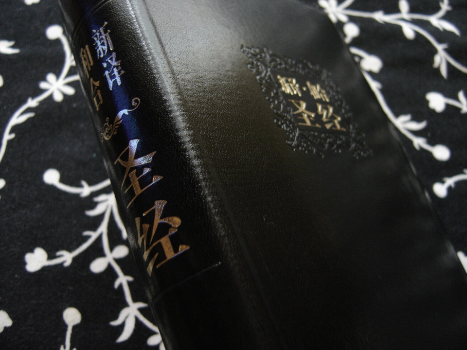 CNV Chinese New Version Holy Bible