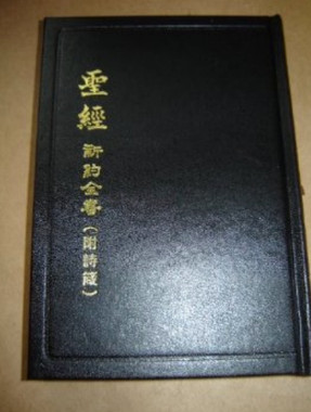 Chinese New Testament with Psalms and Proverbs