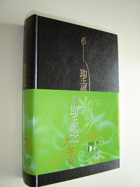 Chinese Union Version Bible Large Print Hardcover