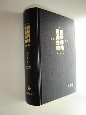 Prayer & Promise Chinese Holy Bible Union Version Large Print