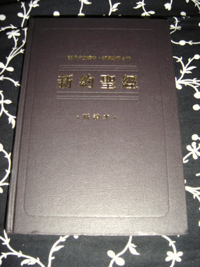 Chinese New Testament Study Bible NT - TCV & CUNP