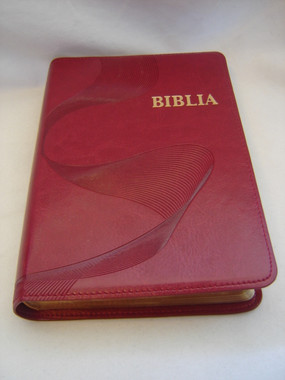 New Ewe Bible / Biblia / Beautiful Red Leather Bound with Golden Edges ...