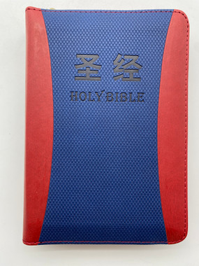 HOLY BIBLE - Simplified Chinese Version