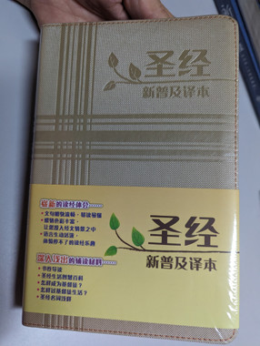 Chinese New Living Translation Bible - Simplified Characters