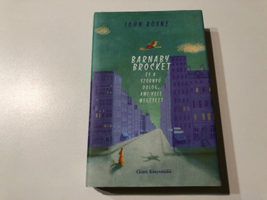 Barnaby Brocket by John Boyne - A Unique Tale