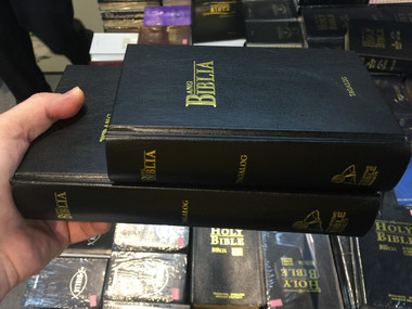 Ang Biblia / Tagalog Language Bible KJV Old Text